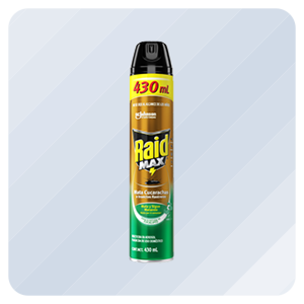 Raid Max Aerosol Eucalipto, 430 ml